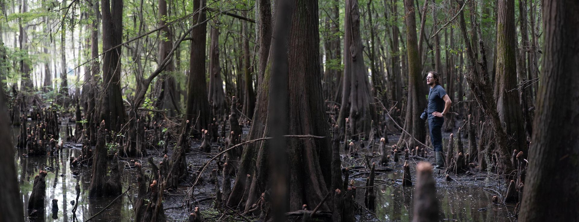 ARRI ALEXA Mini LF and DNA lenses on “Caddo Lake”